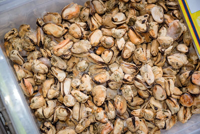 Mussels in plastic box stock image. Image of common, culinary - 84722427