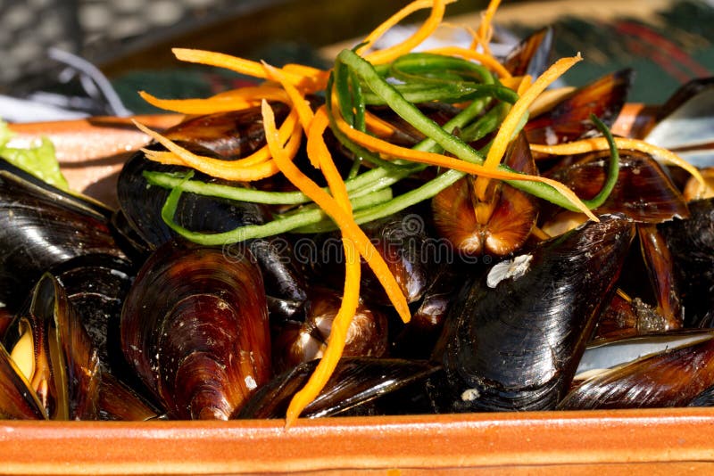 Mussels on the plate stock image. Image of mussel, delicious - 33726819