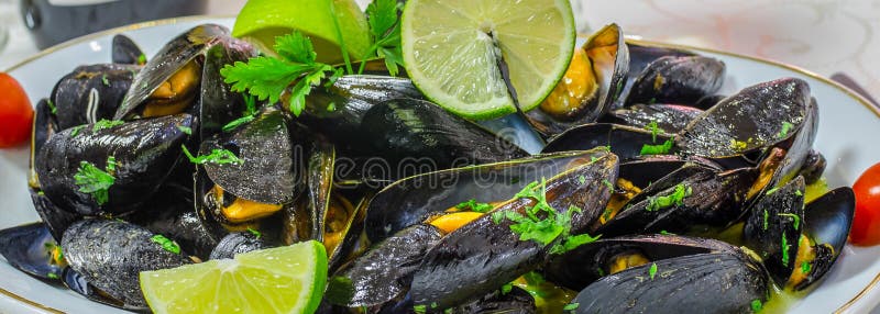 Mussels stock photo. Image of green, close, seafood, plate - 63669556