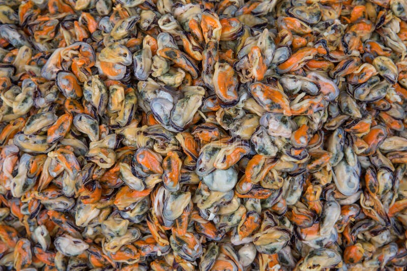 Mussels without shell stock image. Image of cuisine, catch - 41346161
