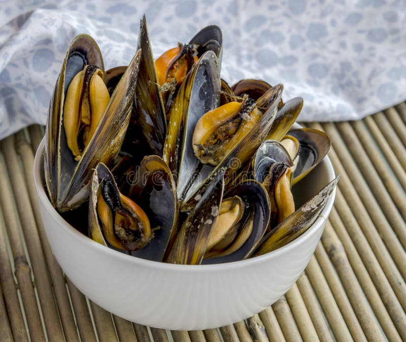 Mussels in the shell stock image. Image of gastronomy - 64292077