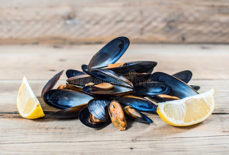 Mussels Side view stock photo. Image of cold, appetizer - 12678326