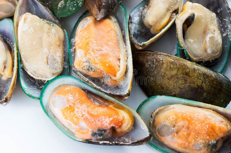 Mussels in the shells stock photo. Image of open, healthy - 180150992