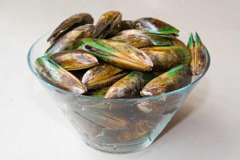 Greenshell mussels stock photo. Image of zealand, fishing - 13587134