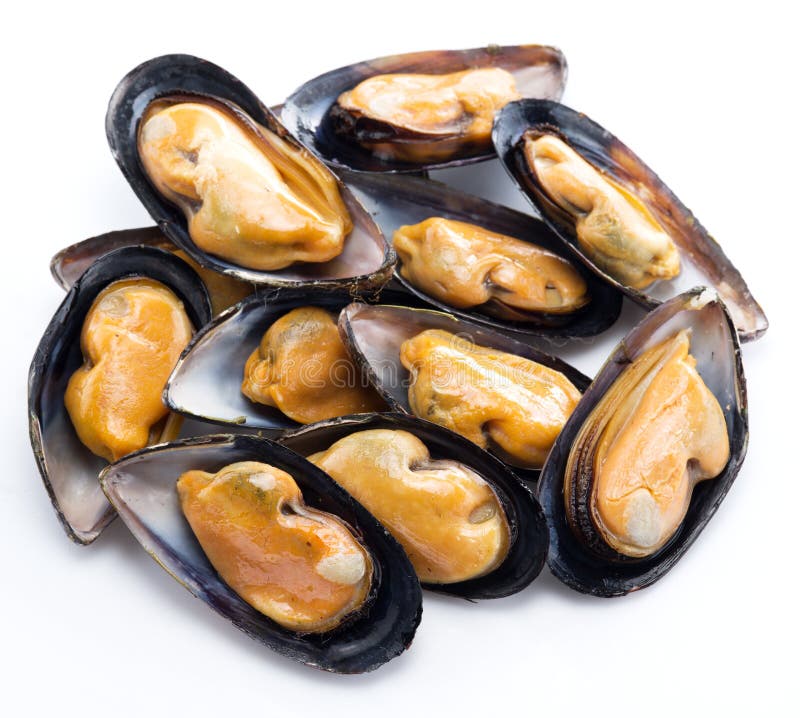 Mussels on a White Background. Stock Image - Image of mussels, high ...