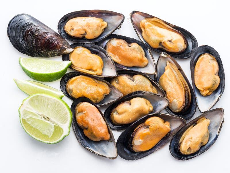 Mussels on a White Background. Stock Photo - Image of prepared, lemon ...