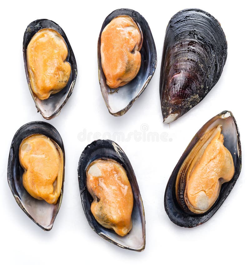 Mussels on a White Background. Stock Image - Image of mollusc, edible ...