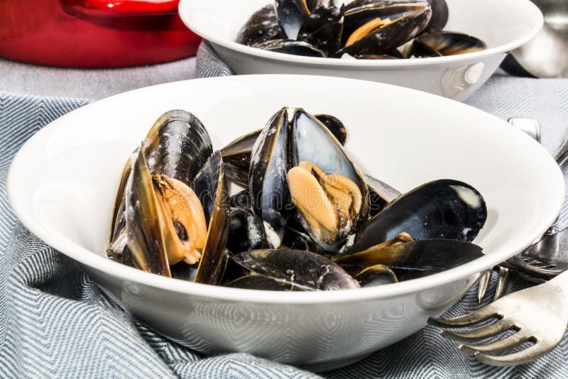 Mussels in a White Wine Sauce Stock Photo - Image of diet, healthy ...
