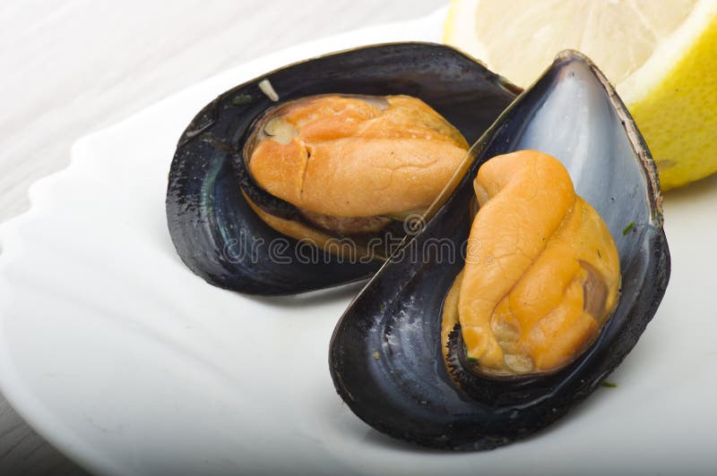 Mussla arkivfoto. Bild av färg, bakgrund, kokkonst, banta - 74300984