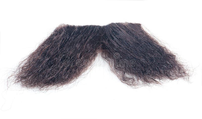 Curly Moustache Isolated on White Stock Photo - Image of male ...