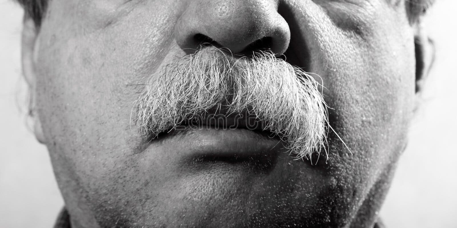 Young man s moustache stock photo. Image of expression - 2665728