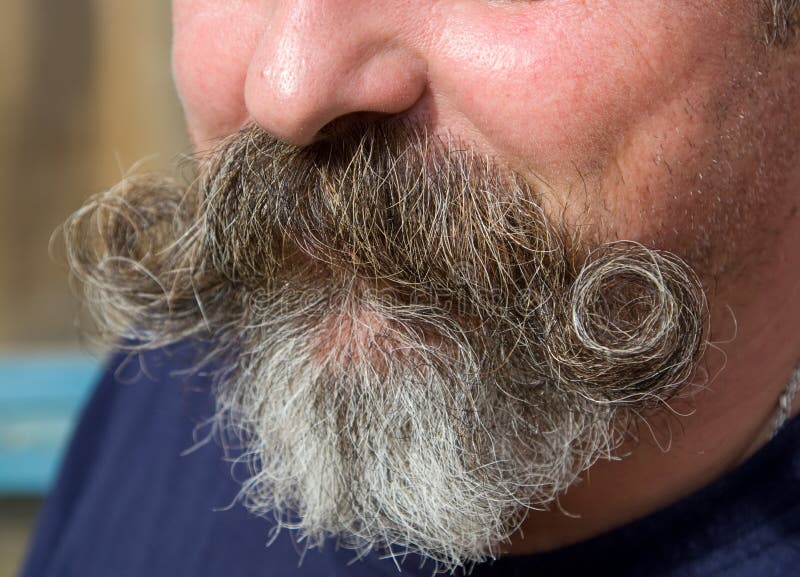 Mustache stock photo. Image of black, male, great, massive - 4983440