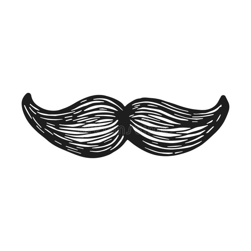 Mustache Gentleman Vector Sketch Hand Drawing Illustration Stock Vector ...