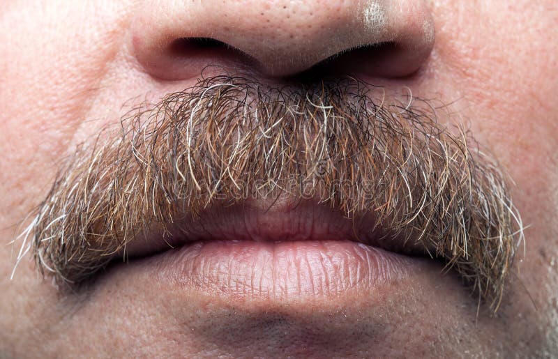 Young man s moustache stock photo. Image of expression - 2665728