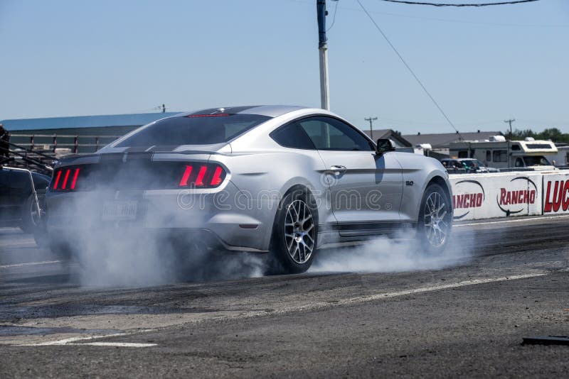 Mustang auf der Bahn redaktionelles foto. Bild von furt - 55792751