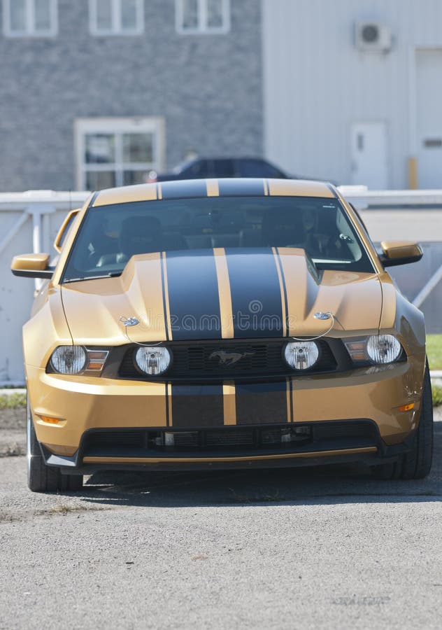Mustang Front End stock image. Image of sealbeam, headlight - 5851417