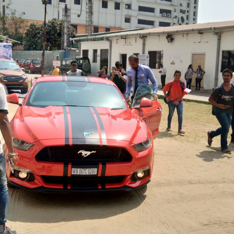 Mustang editorial photography. Image of muscle, india - 114495327
