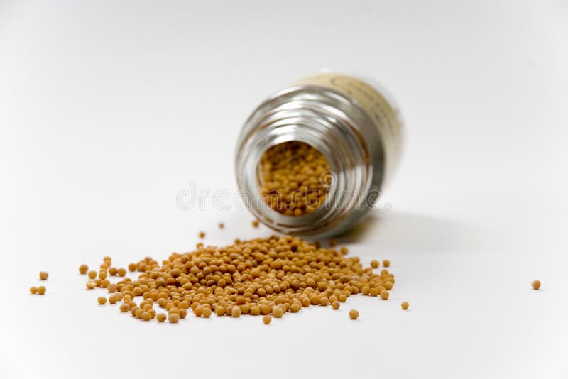 Mustard stock image. Image of white, loose, background - 2733331
