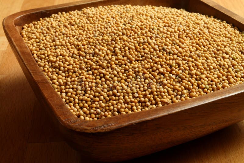 Mustard stock photo. Image of flavor, grain, cuisine, mustard - 9061708