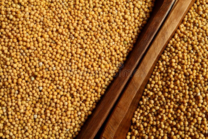 Mustard background stock photo. Image of wood, seeds, grain - 9563368