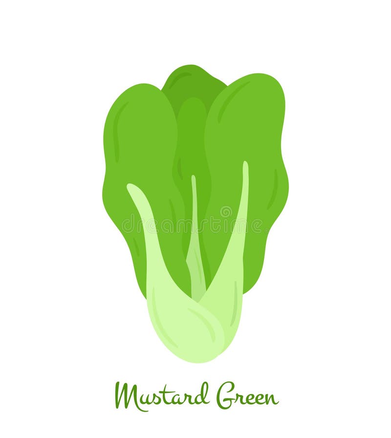 Cartoon Mustard Plant Stock Illustrations 760 Cartoon Mustard Plant Stock Illustrations