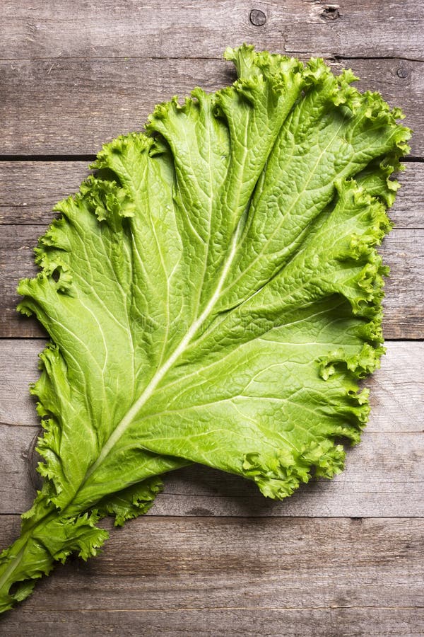 Mustard Greens Isolated on Rustic Wood Background Stock Photo - Image ...