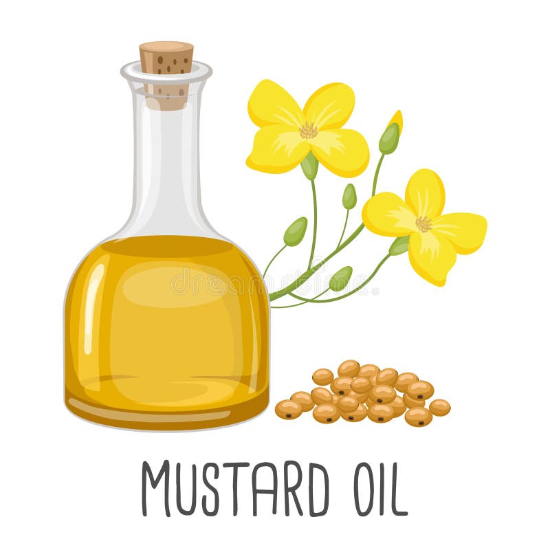 Mustard Oil, Seeds and Mustard Plant. Vegetable Oil from Mustard Seeds ...