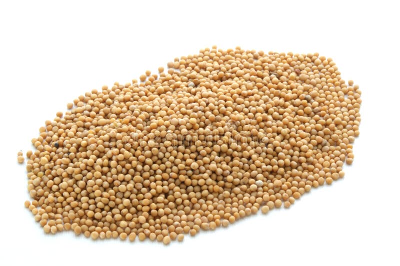 Mustard seed stock image. Image of small, mustardseeds - 9759017