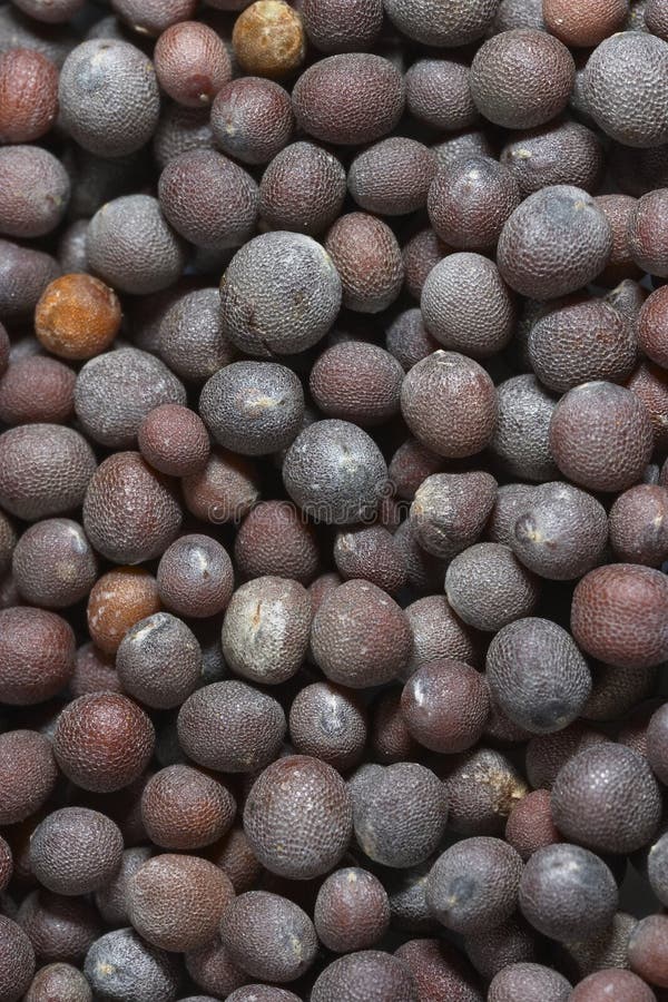 Bread and pastry stock image. Image of food, barley, flavor - 1377829