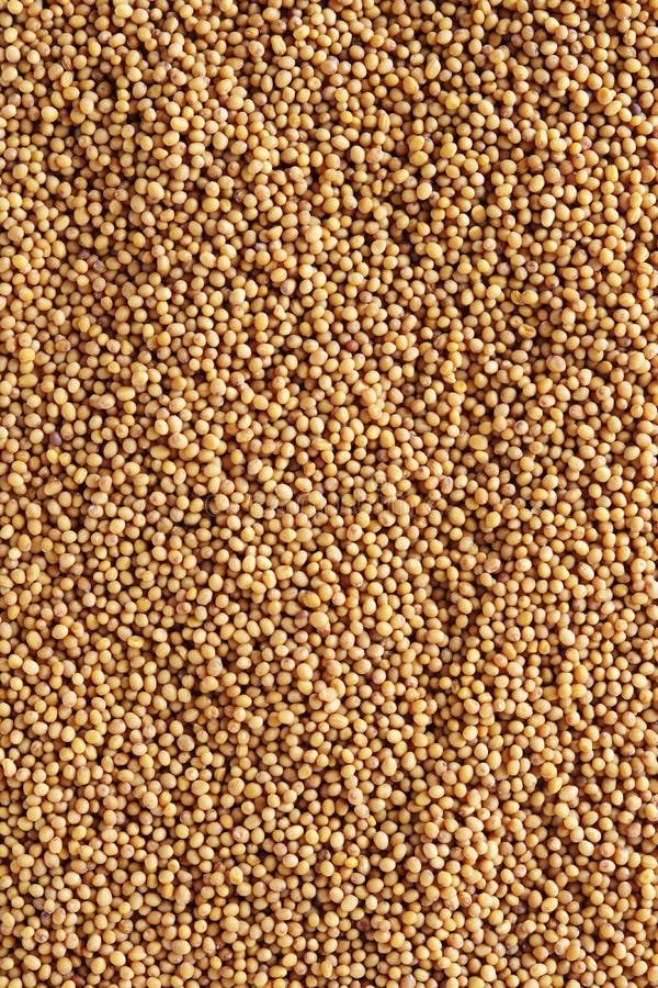 1,515 Mustard Seeds Texture Stock Photos - Free & Royalty-Free Stock ...