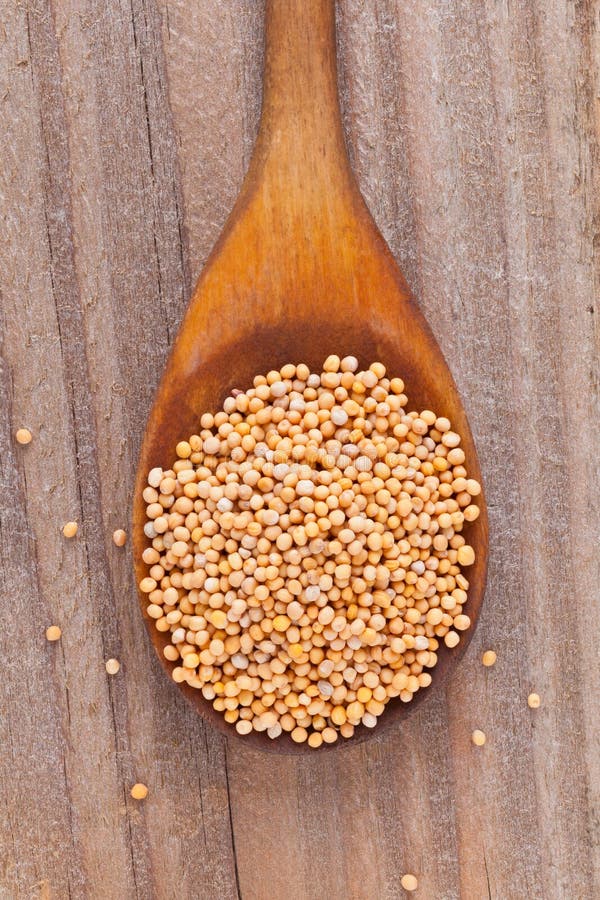 Mustard seeds stock image. Image of seasoning, natural - 31850077