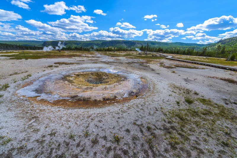 Yellowstone Mustard Spring Stock Photos - Free & Royalty-Free Stock ...