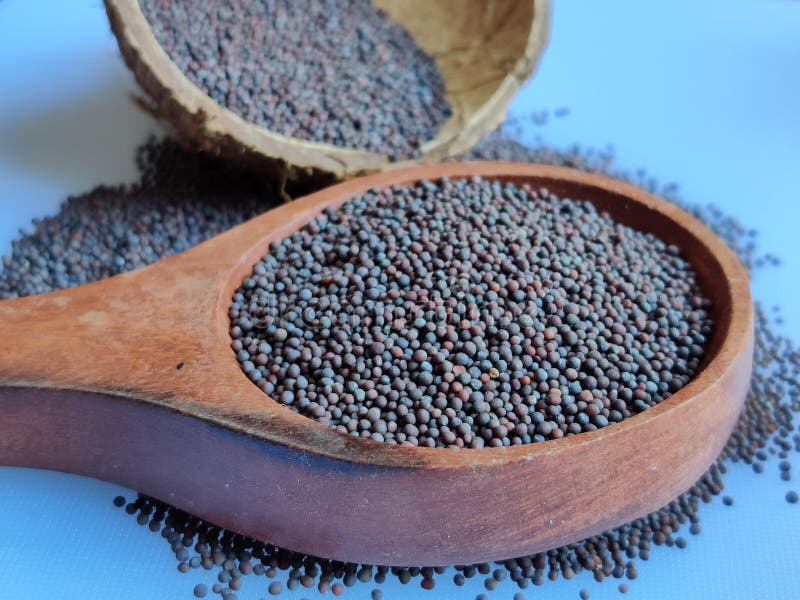 574 Mustered Stock Photos - Free & Royalty-Free Stock Photos from ...