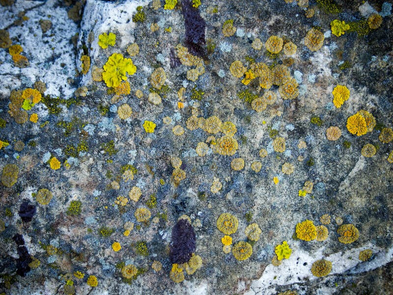 Musty Wall stock image. Image of exterior, abstract, city - 40023271