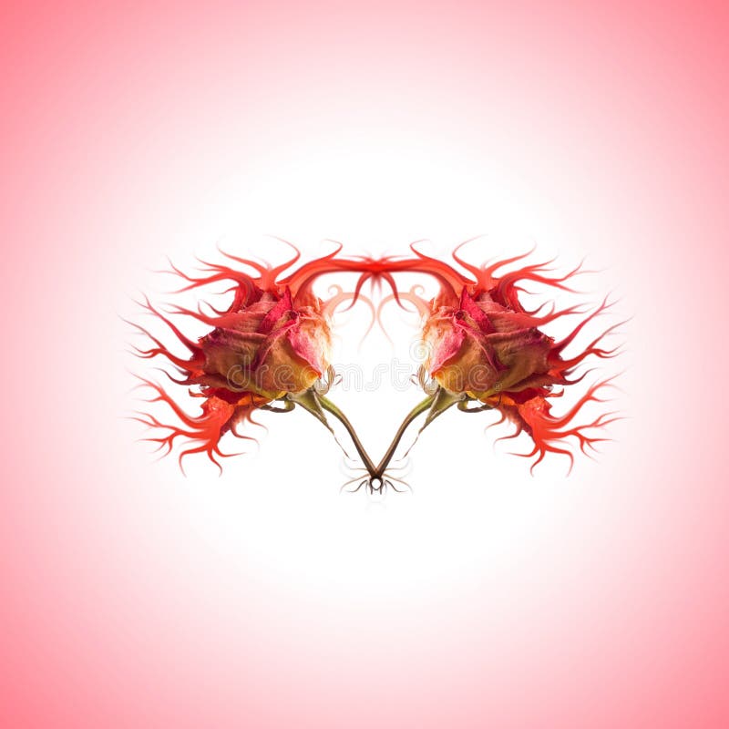 Mutant rose bud stock illustration. Illustration of dead - 2145163