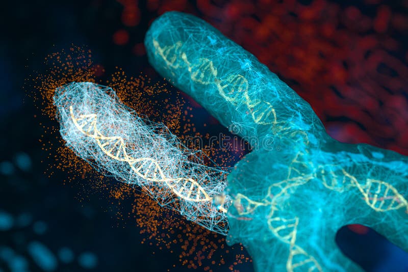Mutation. Chromosome Abnormality Stock Vector - Illustration of mitosis ...