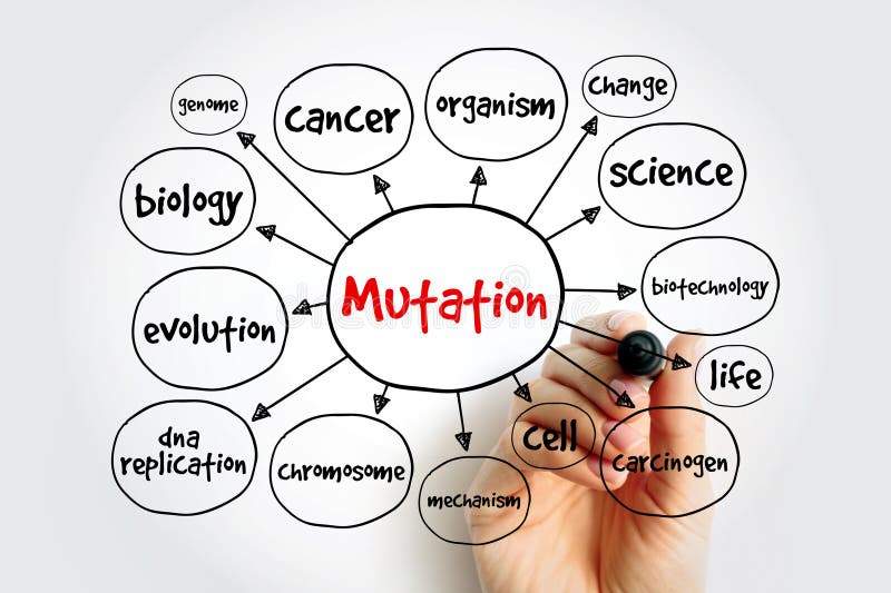 Mutation Mind Map, Concept for Presentations and Reports Stock Image ...