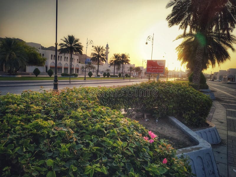 Mutrah town, Muscat, Oman stock image. Image of muscat - 186880267