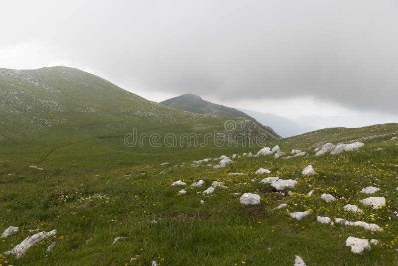 Sky Mutria Stock Photos - Free & Royalty-Free Stock Photos from Dreamstime