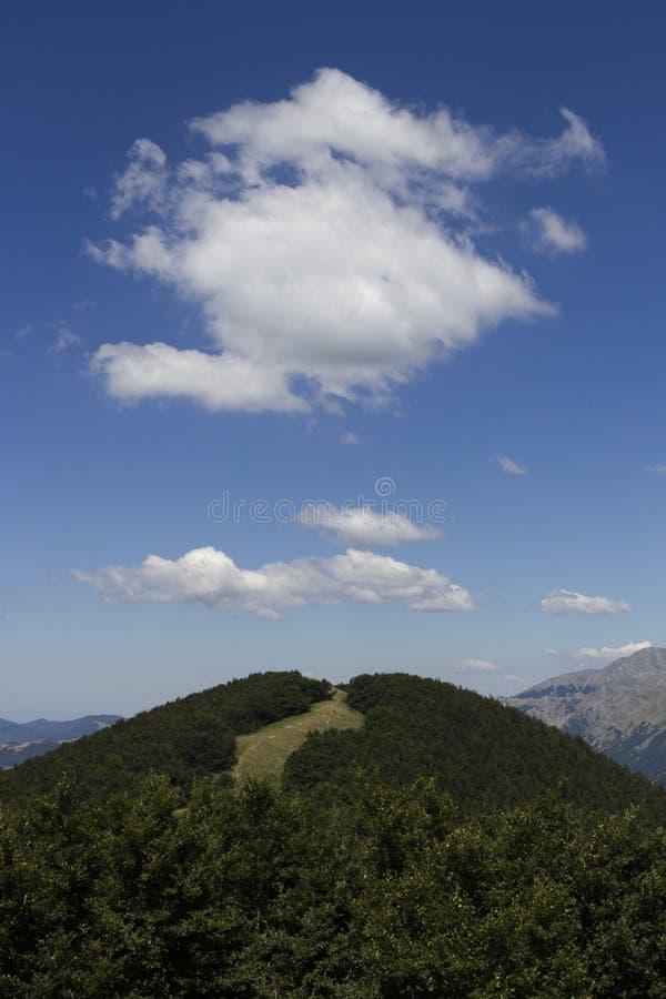 Sky Mutria Stock Photos - Free & Royalty-Free Stock Photos from Dreamstime