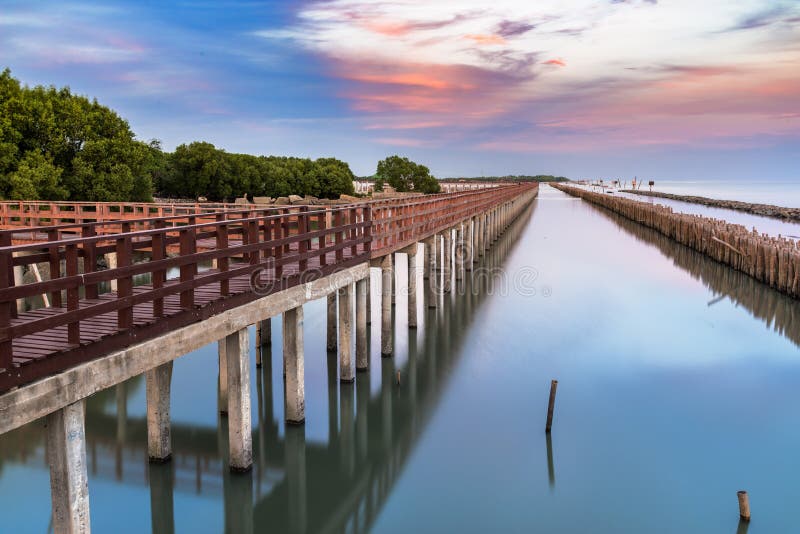 Dolphin Top View stock image. Image of childs, mammal - 161367985