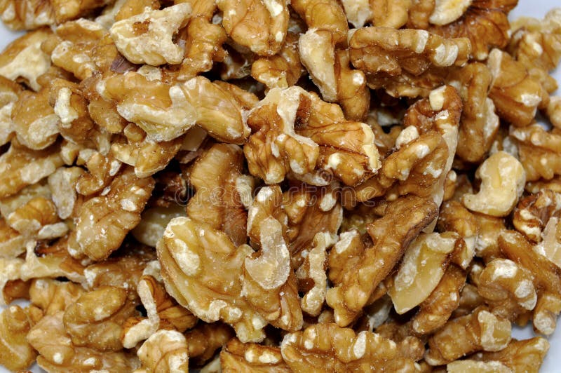 Muttrar fotografering för bildbyråer. Bild av torrt - 106126603