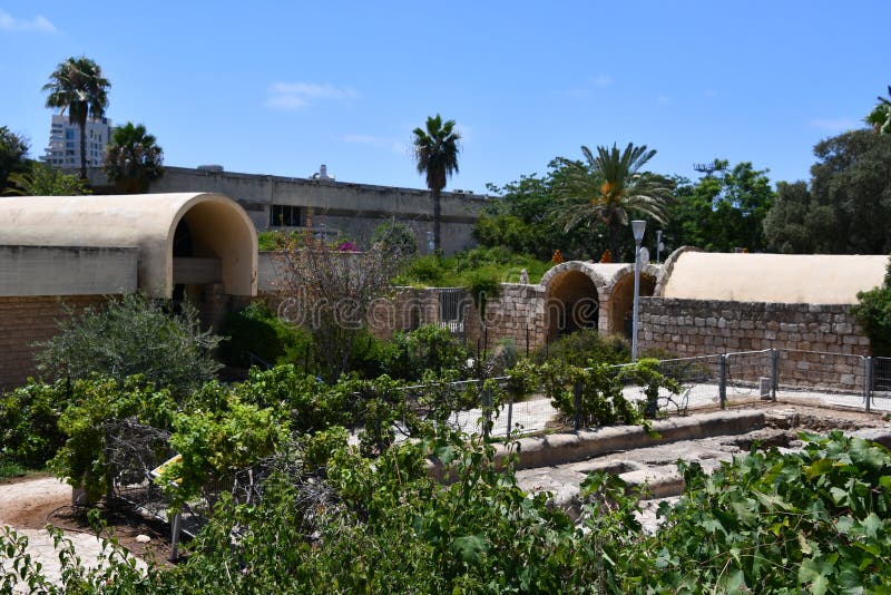 Muza Eretz Israel Museum in Tel Aviv, Israel Editorial Photo - Image of ...