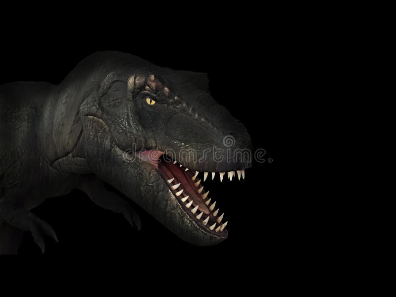 Muzzle of a Dinosaur Close-up on a Black Background Stock Illustration ...