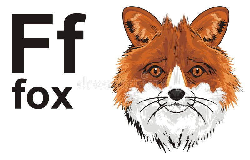 Fox Name Stock Illustrations – 173 Fox Name Stock Illustrations ...