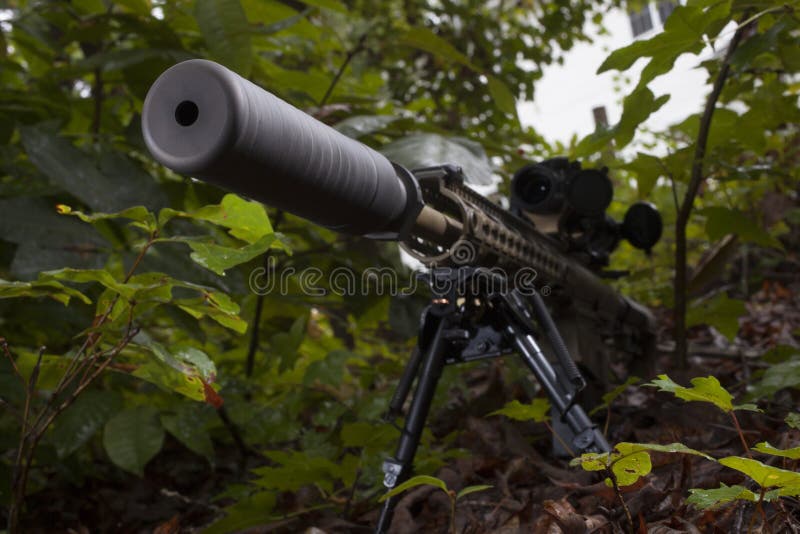Muzzle side stock image. Image of muzzle, branches, rifle - 65096961