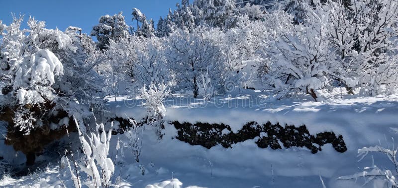 Falling in Nature stock photo. Image of falling, colorful - 1535214