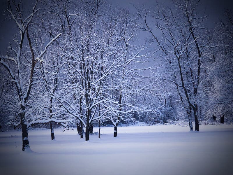 My Backyard in Bucks County Stock Image - Image of snowstorms, county ...