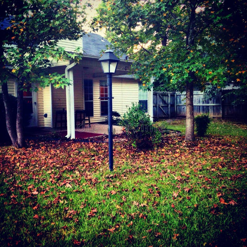 My backyard in fall. stock image. Image of fall, trees - 45931355