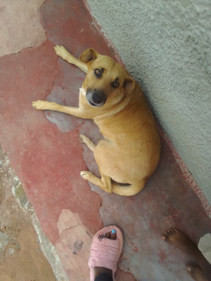 Bbe Friend Stock Photos - Free & Royalty-Free Stock Photos from Dreamstime